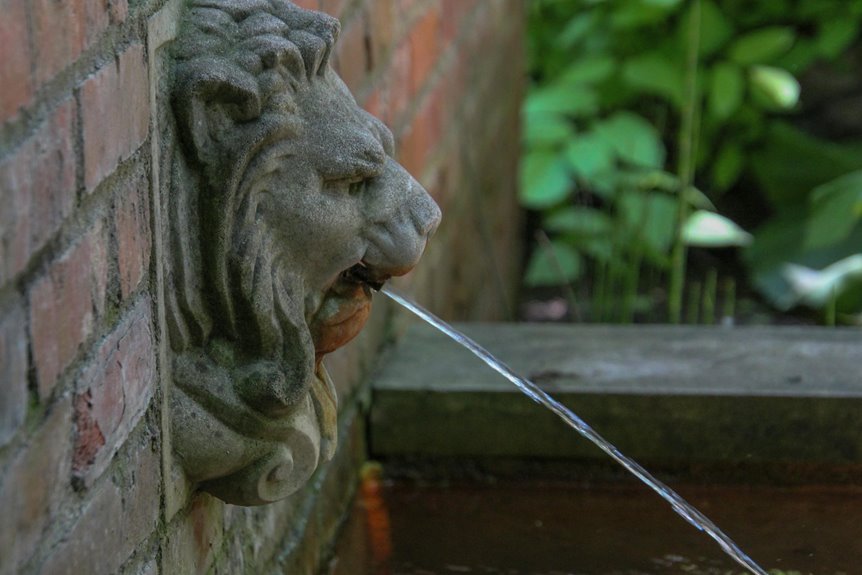 5 Best Water Fountains of 2025 - Hydration Made Easy and Stylish ...